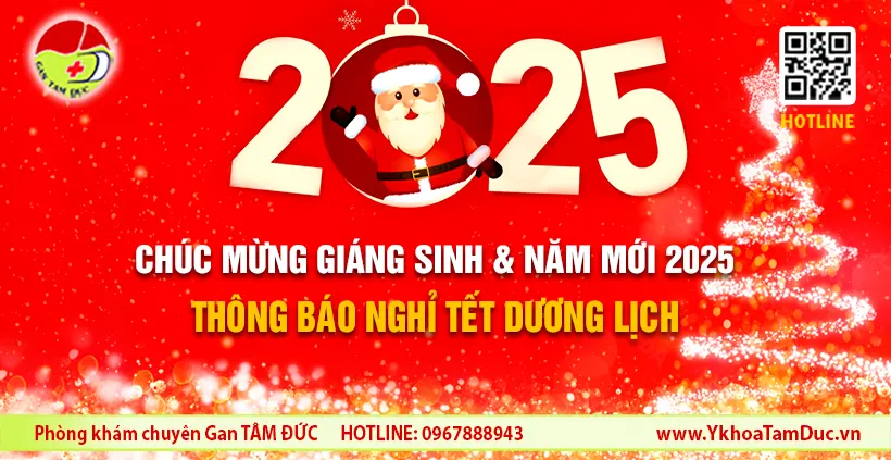 Chúc mừng Giáng sinh, Năm mới và Lịch nghỉ Tết DL 2025